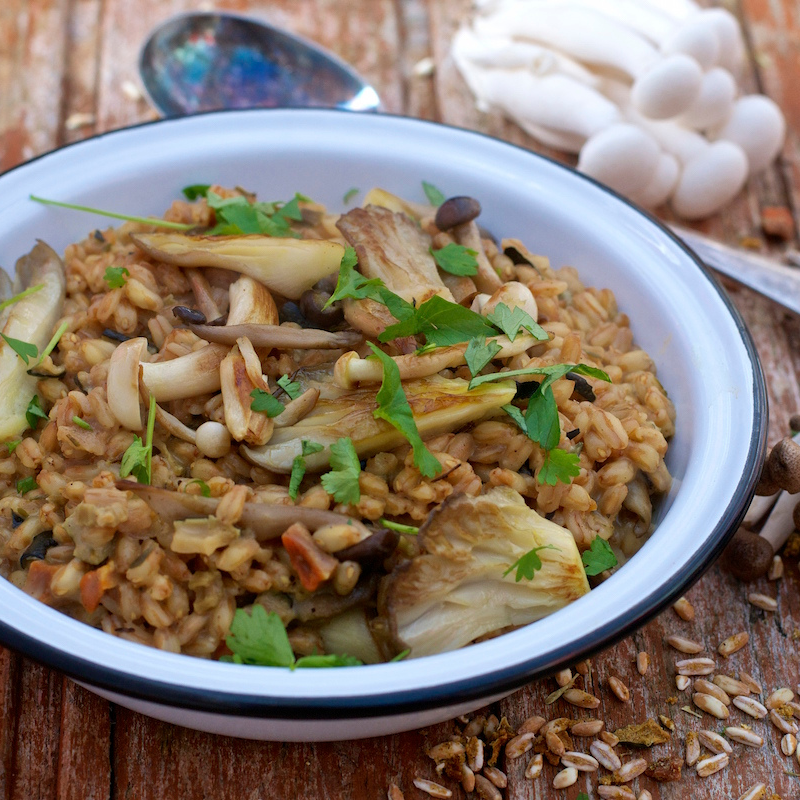 Truffle Infused Rapeseed Oil (250ml) – Fussels Fine Foods